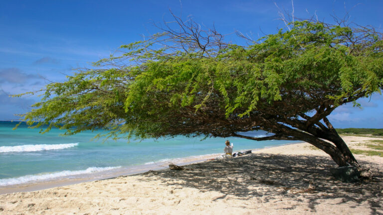 Quando ir a Aruba | As épocas para pegar sol constante