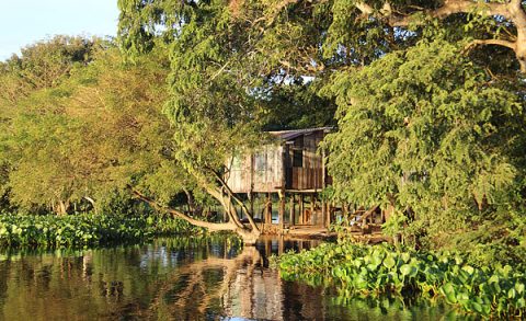 Corumbá: com vôos diretos, o Pantanal está mais perto