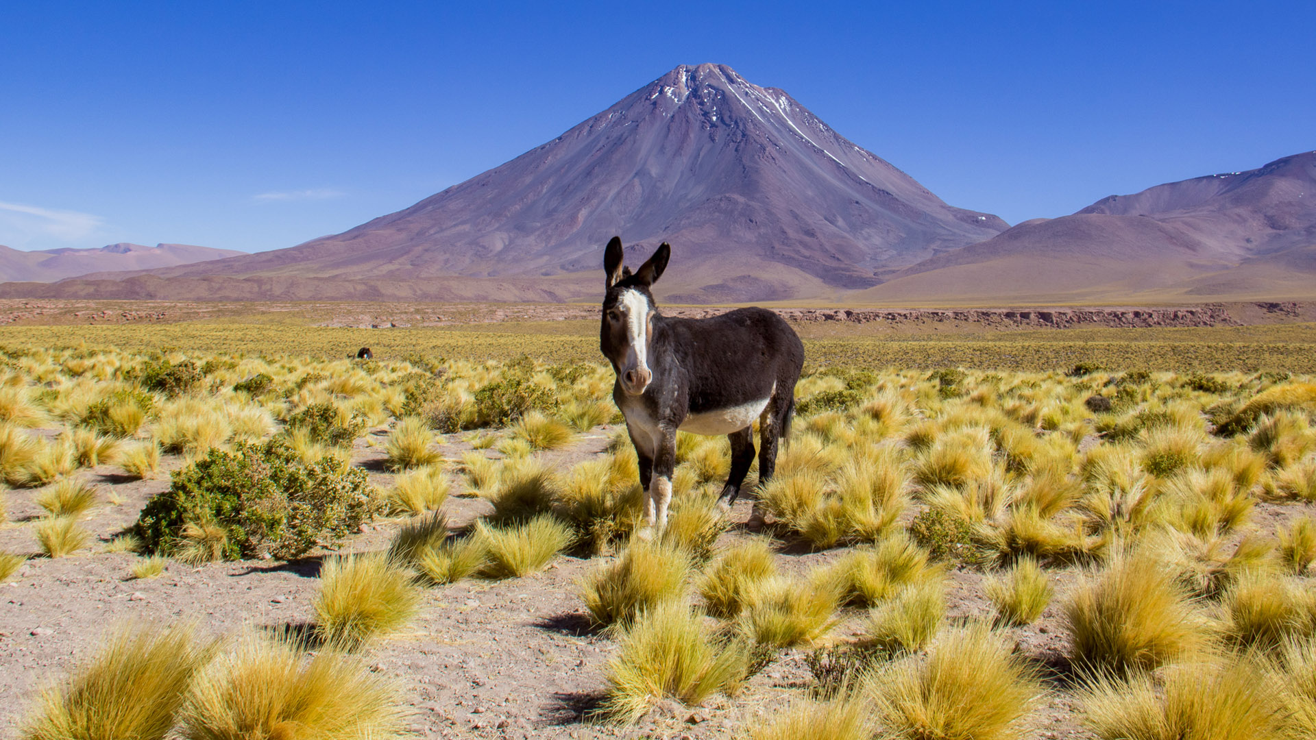 Atacama : as dicas do Viaje na Viagem para você aproveitar mais