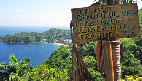 Tobago: um Caribe ainda rústico para curtir a natureza