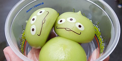 Roteiro Japão: emoção em Hiroshima, diversão nas Disneys de Tóquio