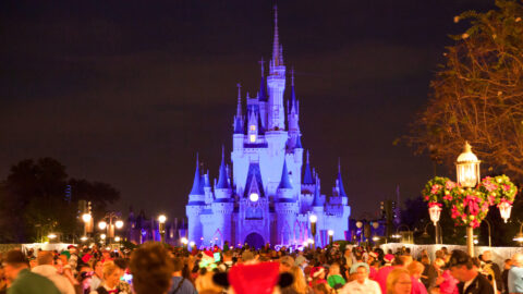 Trem da Mina dos sete Anões, a novidade da Disney | Elisa Araújo ...