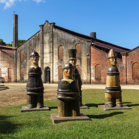 O que fazer em Recife e Olinda: 35 passeios e atrações