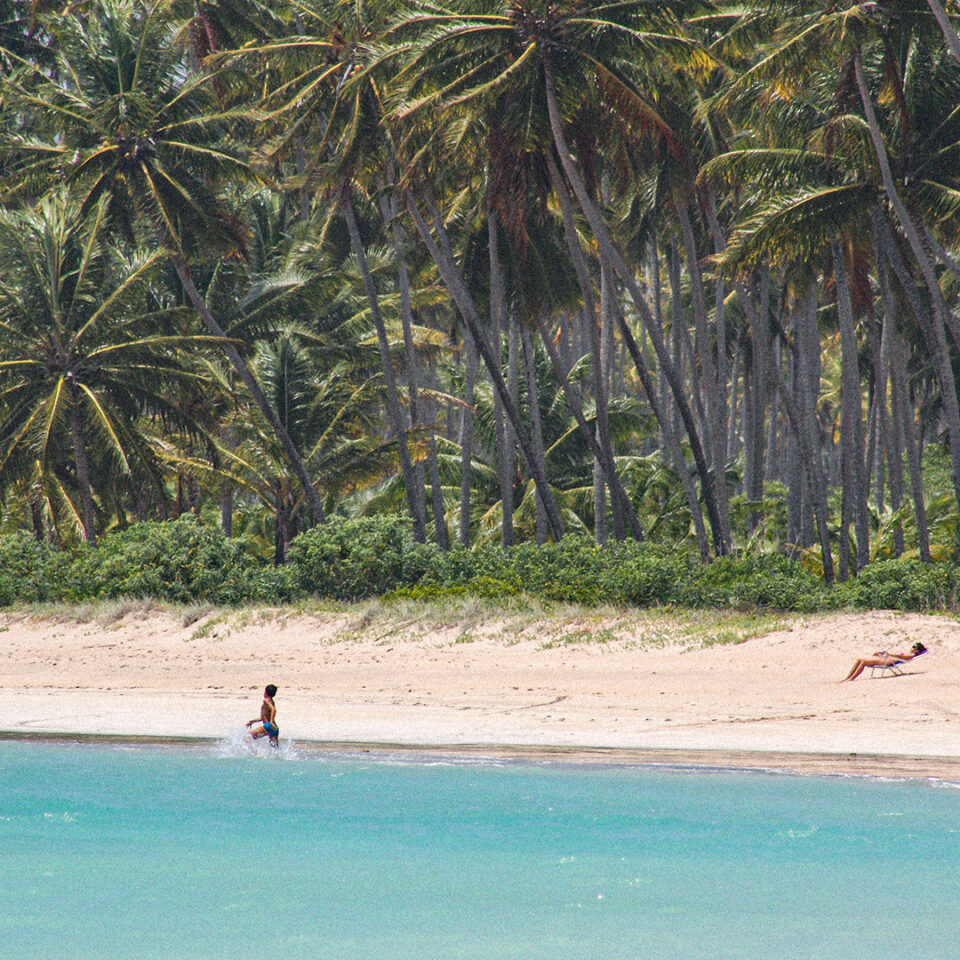 O que fazer em São Miguel dos Milagres: 10 praias e passeios